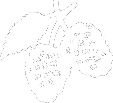 Raspberry Outline Silhouette 38828732 Vector Art At Vecteezy