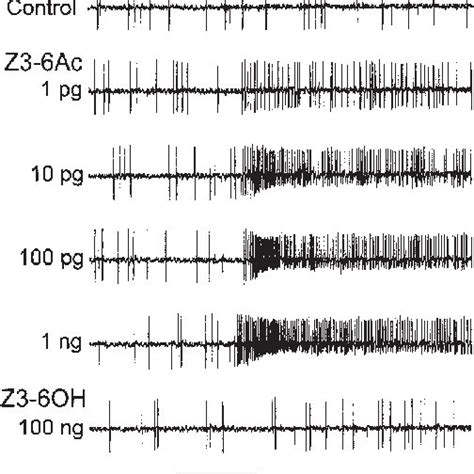 Single Sensillum Recordings On The Male Antennae Of A Octiescostata