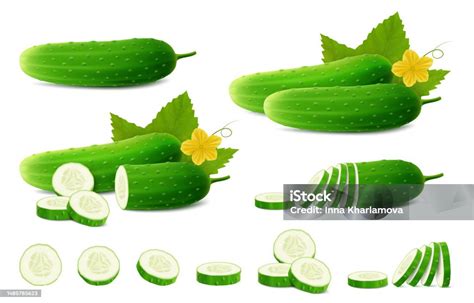 오이 세트 전체 신선한 오이 반 다진 슬라이스 및 오이 그룹 오이 식물 부분 잎 꽃의 세트입니다 유기농 채소 건강 다이어트 채식