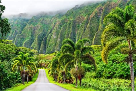 Hoomaluhia Botanical Garden Oahu Top Gardens Hawaii Guide