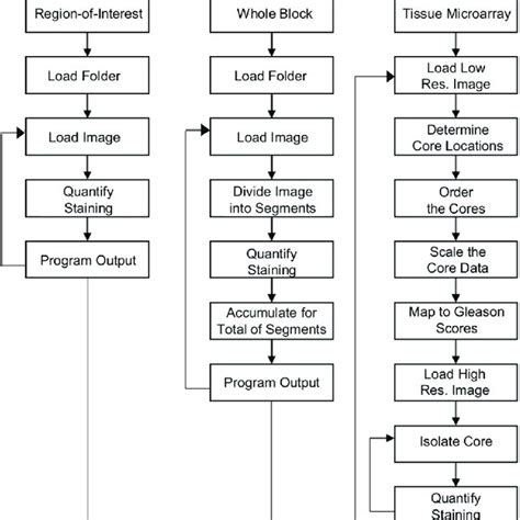 Overview Of Program Workflow Download Scientific Diagram