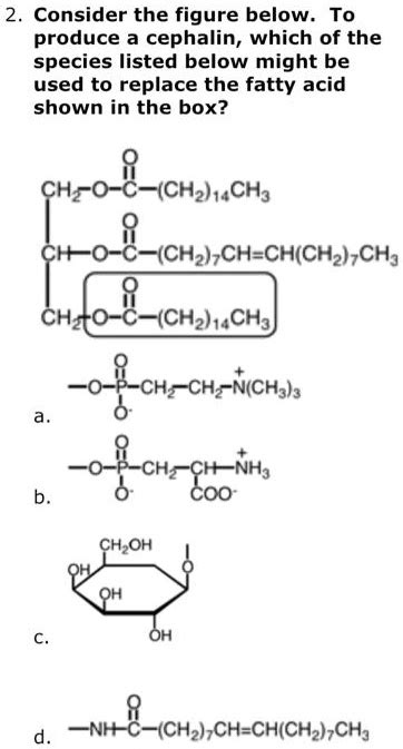 Solvedconsider The Figure Below To Produce Cephalin Which Of The