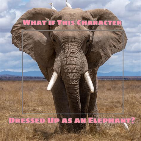 Elephant Dress Up Idea Meme By Finnthejedi1025 On Deviantart