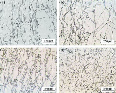 The Optical Microstructures Of The Hot Strained Specimens Under