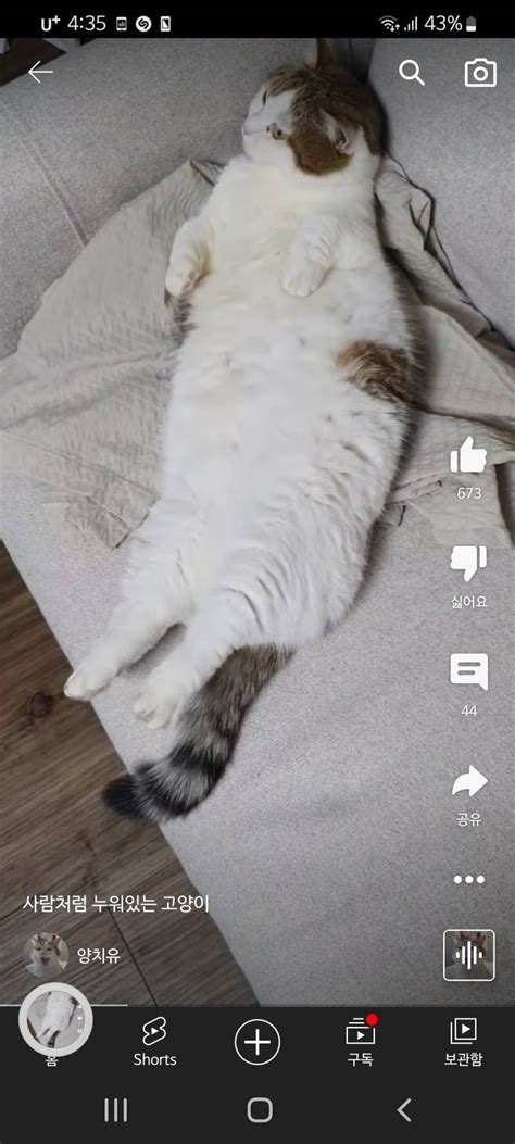 진짜 얘 겁나귀엽네 인스티즈 Instiz 일상 카테고리