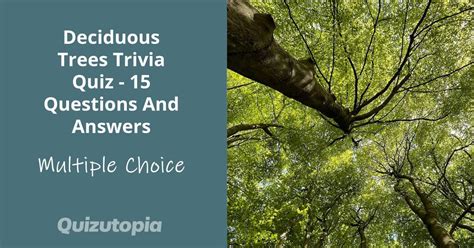Deciduous Trees Trivia Quiz 15 Questions And Answers Quizutopia