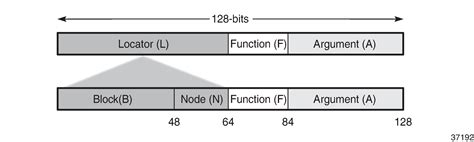 Segment Routing Over IPv