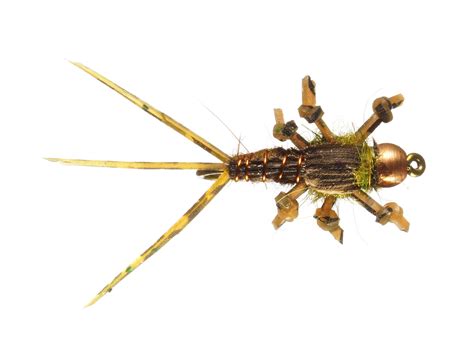 Swinks Better Than Sex Drake Rainysflies