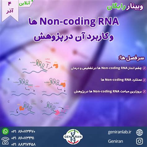 وبینار آنلاین آشنایی با Non Coding Rna ها و کاربرد آن در پژوهش ژنیران