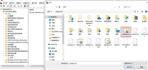 局域网内搭建安全的HTTPS协议环境分别给IIS和tomcat使用并解决SSLHandshakeException异常 局域网iis pfx CSDN博客