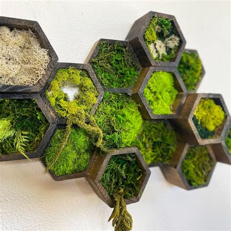 Hexagon Wall Art Etsy