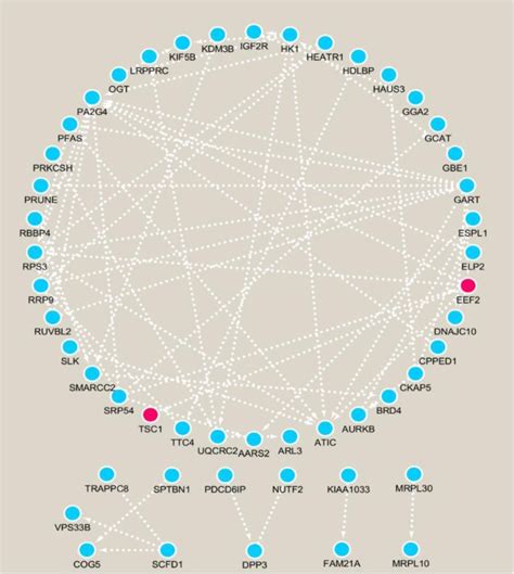 Progeo Neo A Customized Proteogenomic Workflow For Neoantigen Prediction And Selection Pmc
