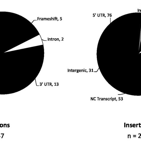 Summary Of The Locations And Predicted Functional Consequences Of The