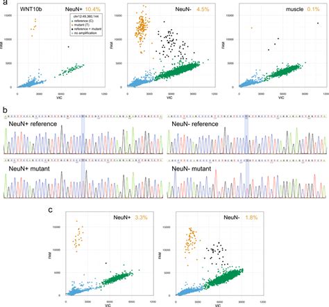 Validation Of Somatic Single Nucleotide Variants Validation Of Ssnv At