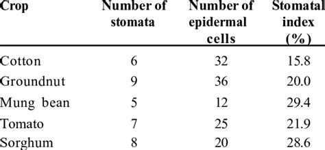 Stomatal Index For The Leaves Of Few Crops Download Table