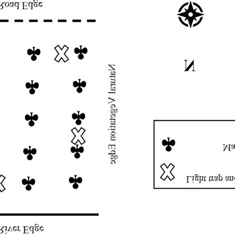 Illustration Of Bat Detector And Light Trap Deployment Positions X Download Scientific