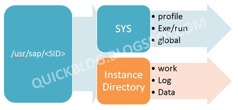 SAP BASIS BASIC OVERVIEW Kernel In SAP