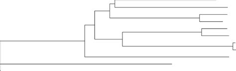 Peptoniphilus Harei Semantic Scholar