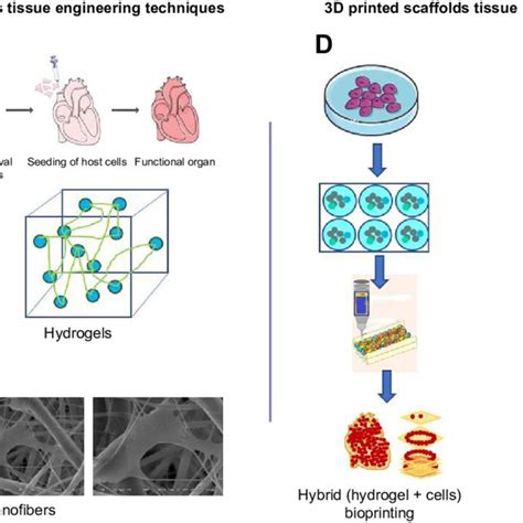 Comparison Of Conventional And Modern 3d Printed Scaffold Based Tissue Download Scientific