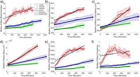Tasi A Software Tool For Spatial Temporal Quantification Of Tumor Spheroid Dynamics