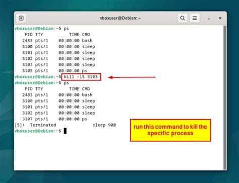 How To Kill A Process On Linux Command Line Best Methods
