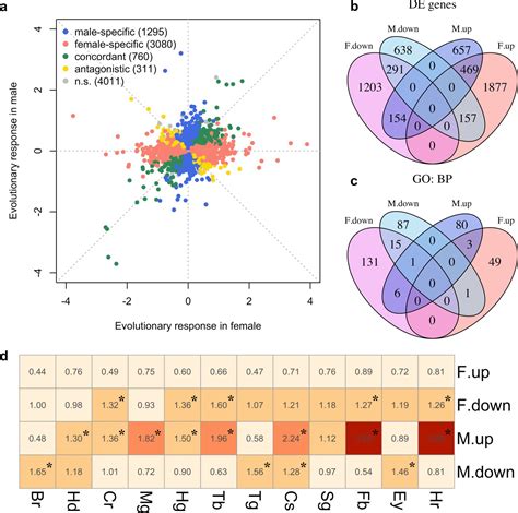 figures and data in rapid sex specific adaptation to high temperature