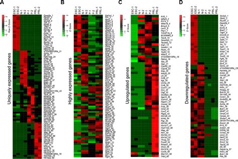 comparative analysis of unique and differentially expressed genes in