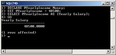 Microsoft Visual Basic Databases Operations On Sql Variables