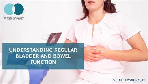 Bladder Control And Testosterone At Tracy Mcfall Blog