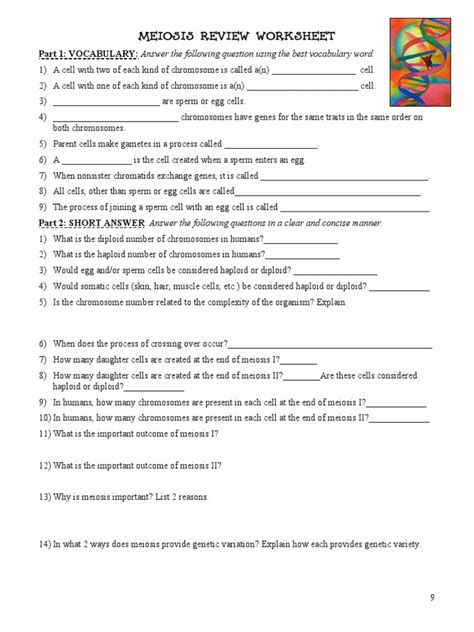 Mitosis And Meiosis Worksheet Download Free Pdf Ploidy Meiosis