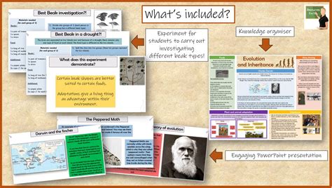 Science Evolution And Inheritance Evolution By Natural Selection Year 6 Teaching Resources