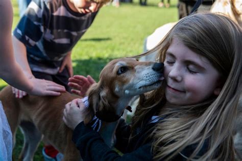 Premium Photo Close Up Of Dog Licking Girl On Field