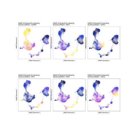 131 Motif Deviations Archr Robust And Scaleable Analysis Of Single Cell Chromatin