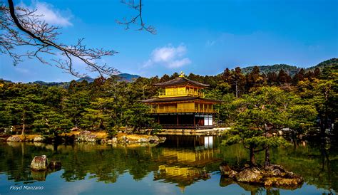 Kinkakuji Temple Golden Pavilionkinkakuji Kyoto Japan By Floyd