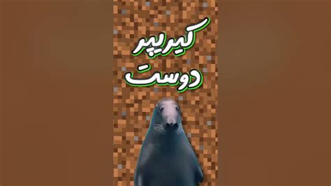 انواع پلیر های ماینکرفتکیریپر Youtube