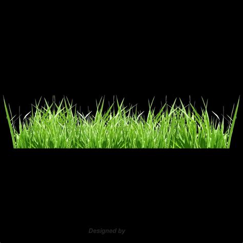 High Grass Png Free Download Artofit
