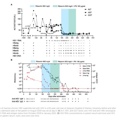Histological And Immunohistochemical Staining Of Live Tissue Sections