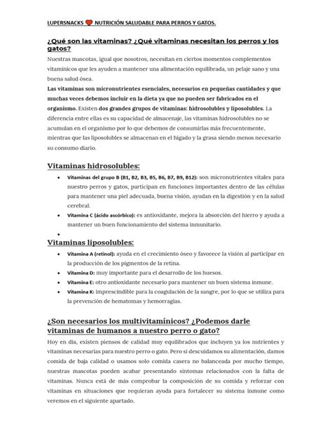 Qué Son Las Vitaminas Abc Pdf Alimentos Nutrición