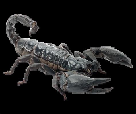 Laravel 12 Eloquent Orm Relations Scopes Performance Medium