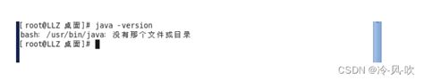 linux环境下安装jdk（详解） linux安装jdk csdn博客
