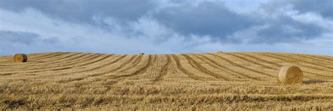 Ladybug Landing Byers Colorado 🙌 Who Comes To Mind When You Read This Sign Etsy Me