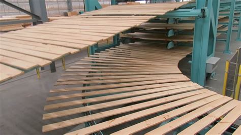 Clt Production Line Australia Ledinek