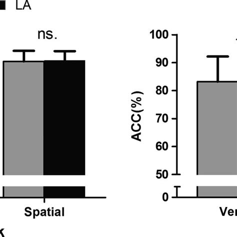 Response Times Of The Verbal And Spatial Tasks Download Scientific