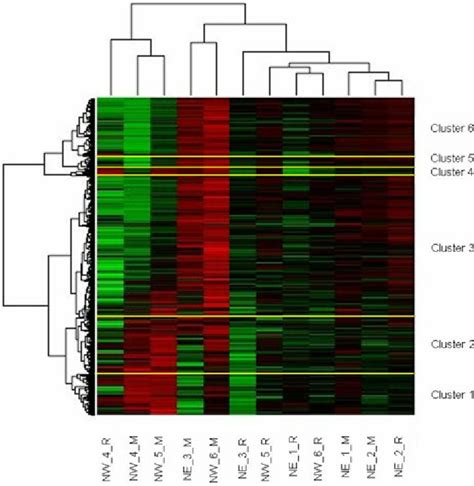 A Heatmap Generated Using Hierarchical Clustering Showing Simultaneous Download Scientific