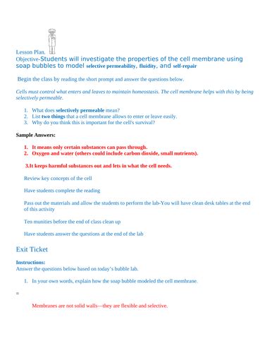 Cell Membrane Lab Modeling Selective Permeability With Bubbles
