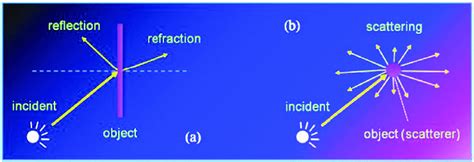 Tabulate The Differences Between Reflection And Refraction With Help Of Ray Diagram Show What