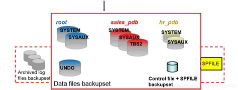 Oracleocp多租户之cdb与pdb的备份恢复和闪回cdb Pdb Rman 备份 Csdn博客