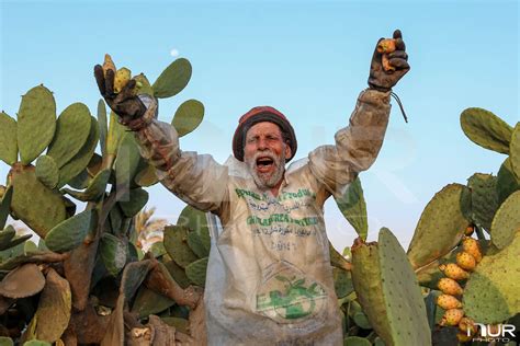 Ziad Ahmed On Linkedin My 📸