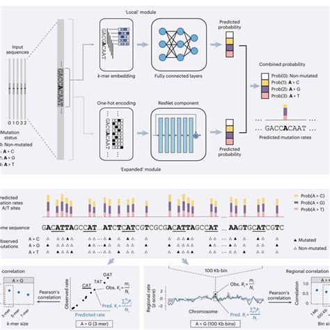 Comparison Of Mural And Existing Models A The 3 5 7 And 9 Mer