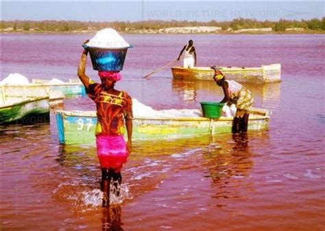 The Pink Lake At Retba Senegal Amusing Planet